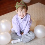 Librarian’s Picks – An Arithmetic Village Birthday Party! | The ...